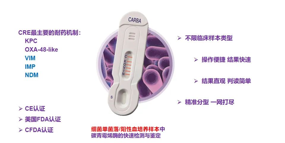 精准分型，抗击CRE！NG-Test CARBA5助力CRE快速检测-新闻中心-