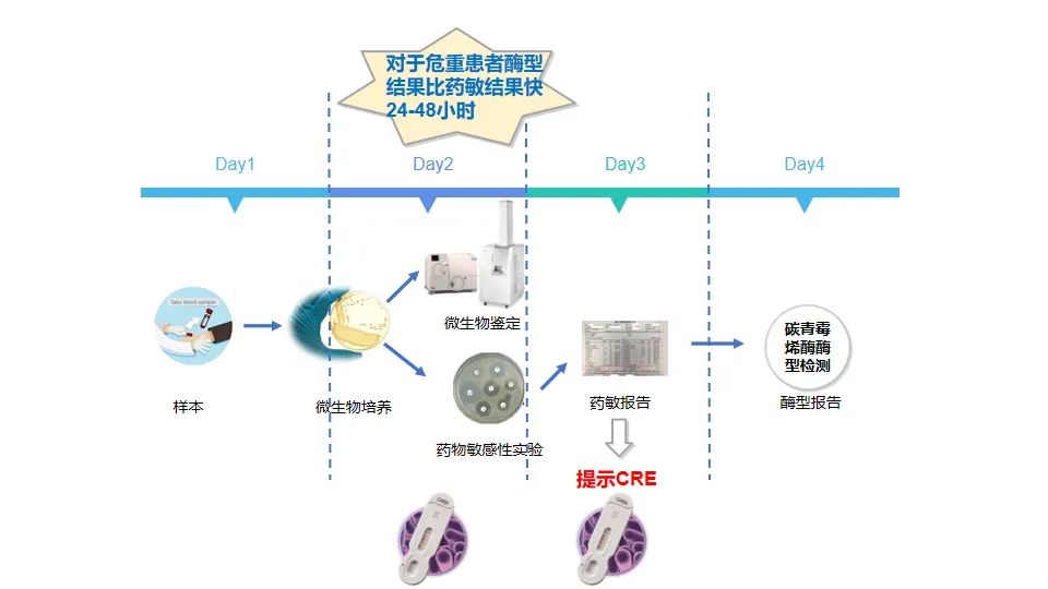 精准分型，抗击CRE！NG-Test CARBA5助力CRE快速检测-新闻中心-